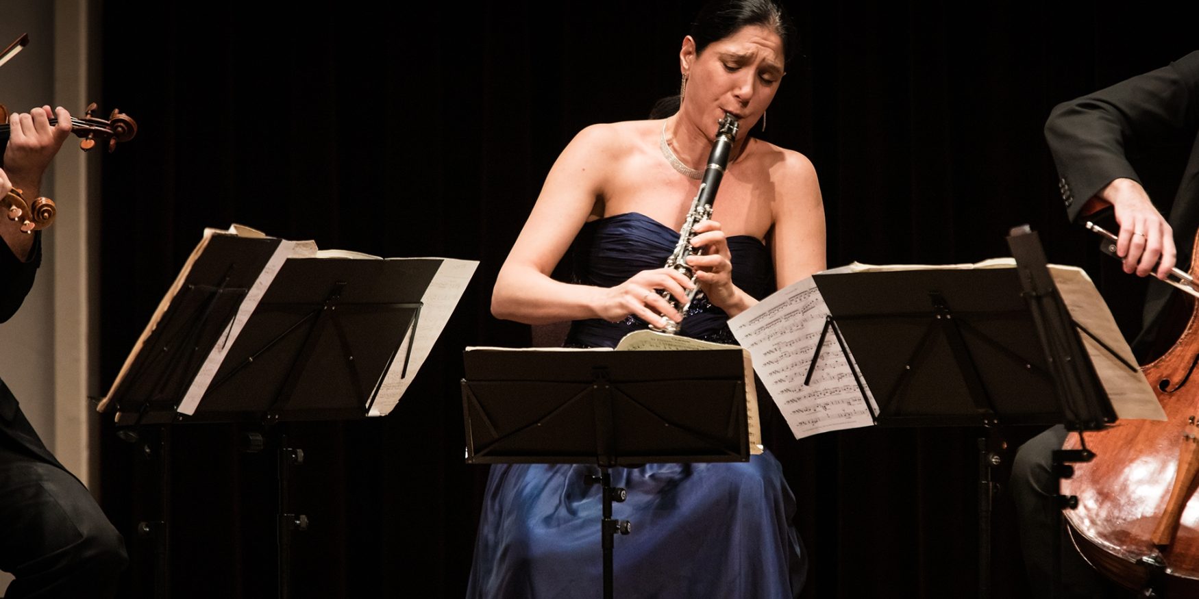 Strijkers met Variatie - Concertgebouw - Nederlands